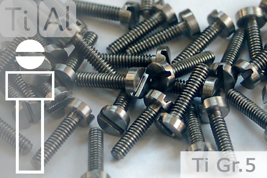 Titanschrauben | M2 | Zylinderkopf mit Schlitz | DIN 84 / ISO 1207